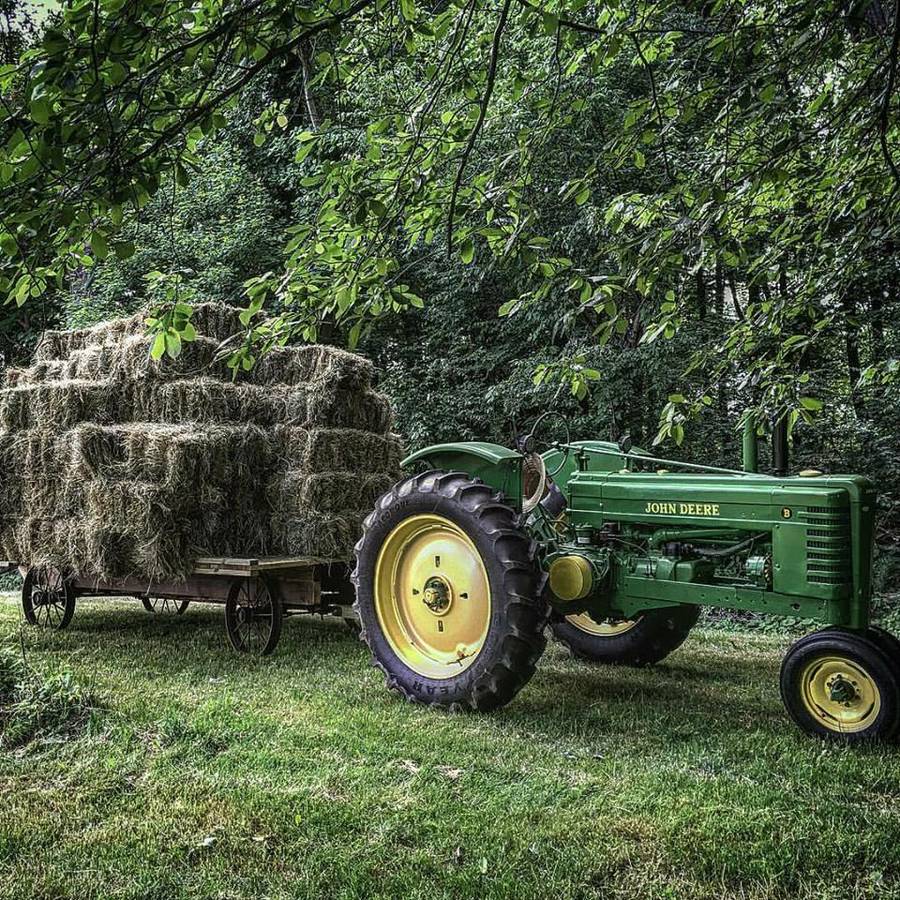 See What's Currently Available at the Farm - Jacobs Heritage Farm