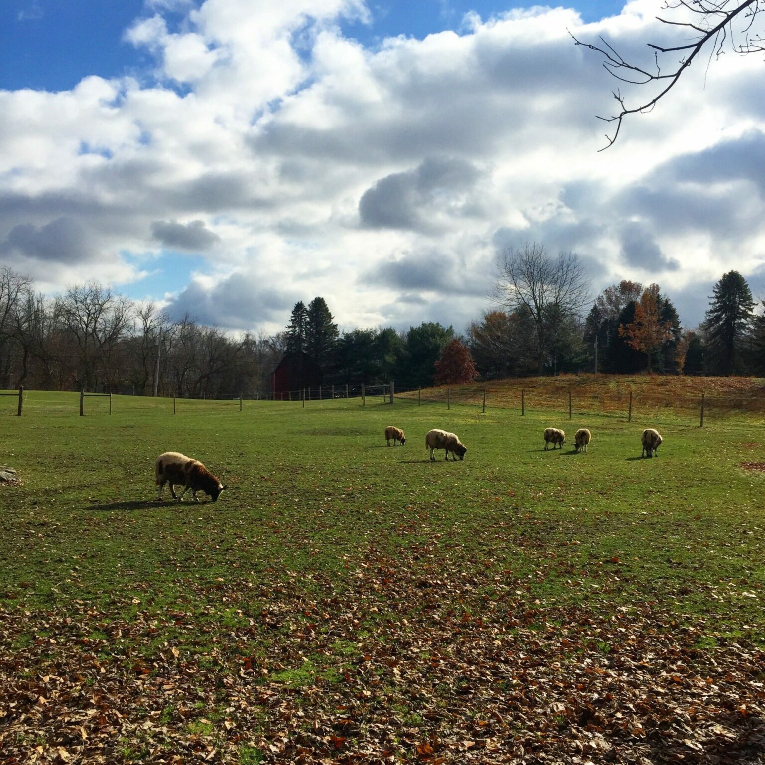 "Daily Inspiration: Meet Jennifer Jacobs" - A Feature in Voyage Ohio ...